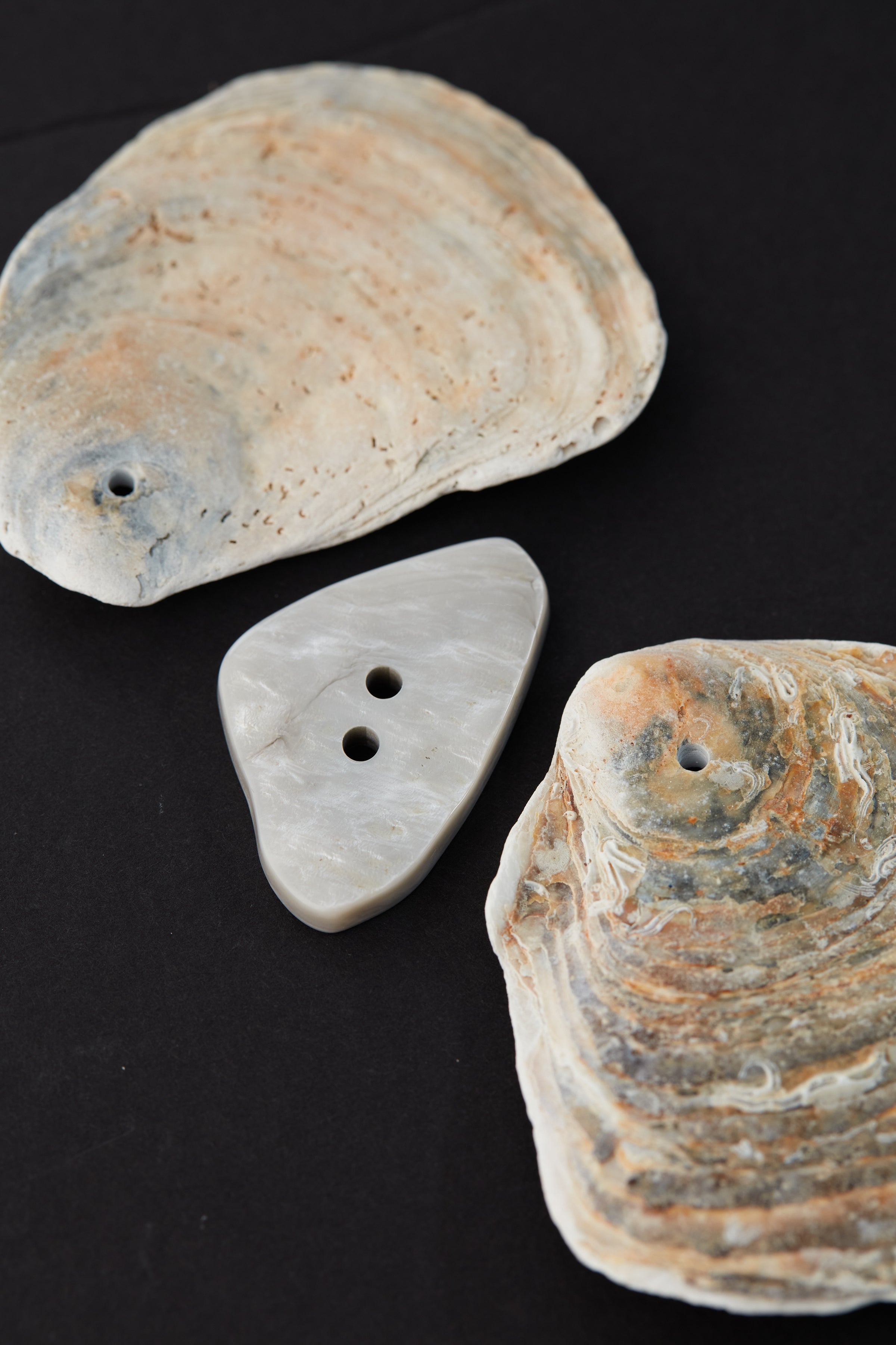 About | Welcome to AKYN